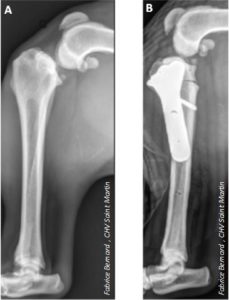 La CBLO - CHV Saint-Martin