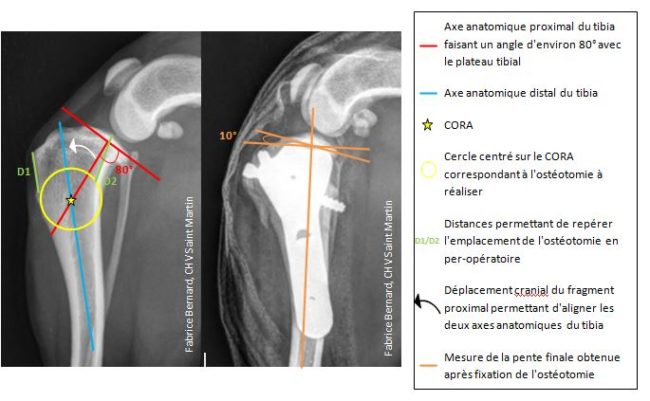 La CBLO - CHV Saint-Martin