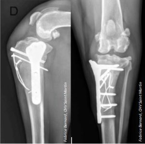 La CBLO - CHV Saint-Martin